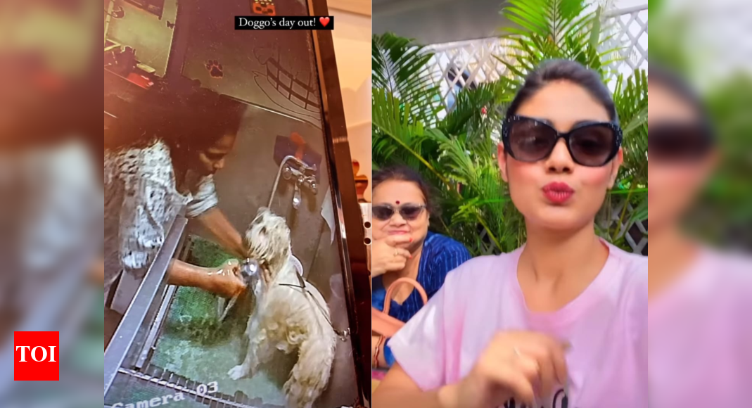 Sreejita De enjoys a fun afternoon with her pet pooches and mother ...