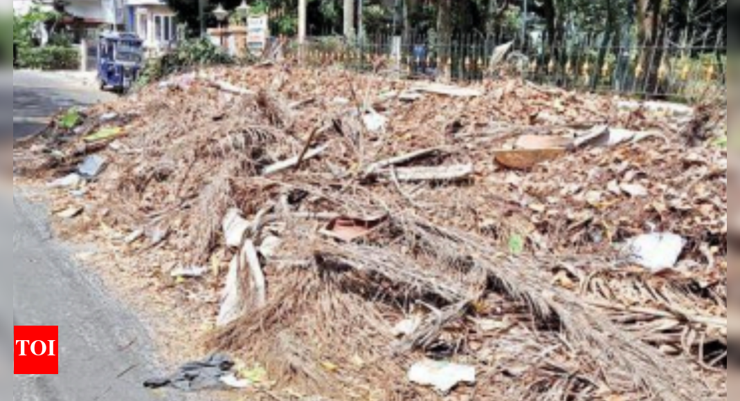 5 days on, BMC yet to remove trash pile | Kolkata News - Times of India