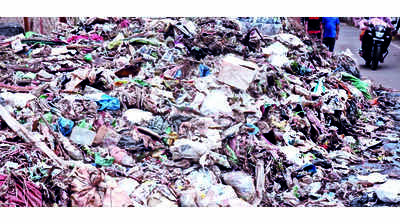 Corp: Corp To Introduce App Based Collection Of Sanitary Waste ...