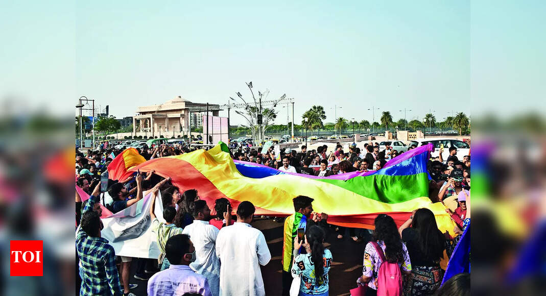 LGBTQIA community endorses a special message at the pride parade in ...