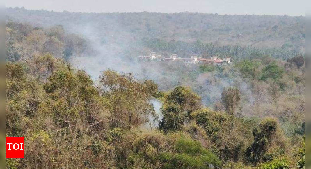 118 fire calls in 2 days in Goa, rise in temperature suspected to be ...