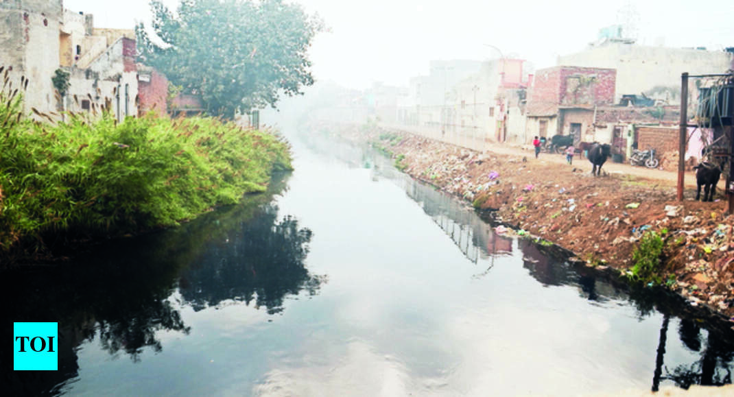 Buddha Nullah: Monitor Buddha Nullah Work, State Bjp Leader Asks Centre ...