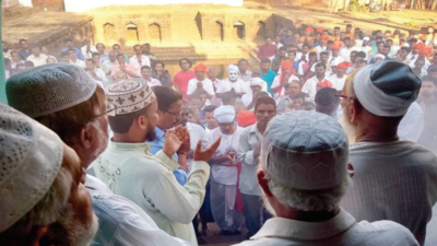 Celebrating the spirit of Shigmo | Goa News - Times of India