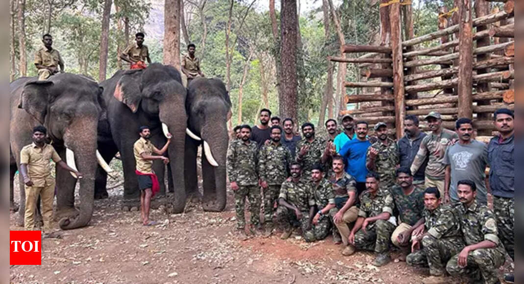 How Kerala's RRT tames and trains rogue elephants | India News - Times ...