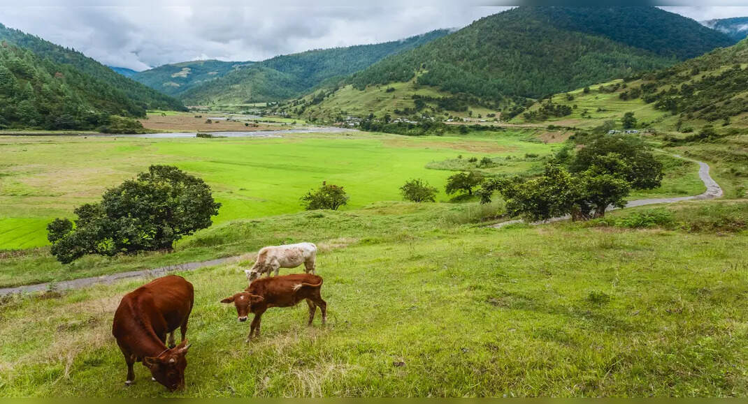 Did you know about this offbeat destination in Arunachal Pradesh ...