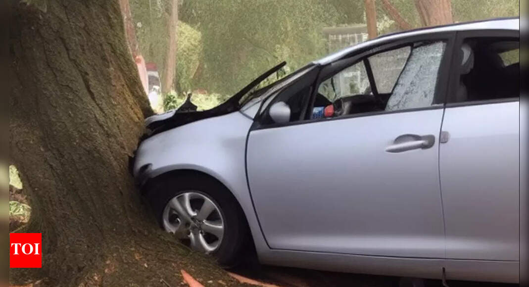 2 Friends Die, 2 Injured As Car Hits Tree | Bengaluru News - Times of India