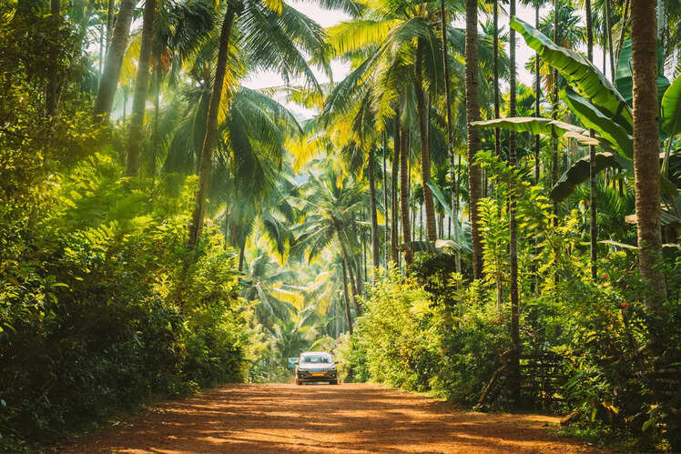 Offbeat Goa: Beautiful villages for your itinerary | Times of India Travel