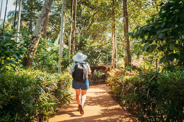 Offbeat Goa: Beautiful villages for your itinerary | Times of India Travel