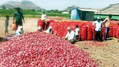 Nafed procures 3,500 tonnes of late kharif onions from farmers in Maharashtra | Nashik News ...