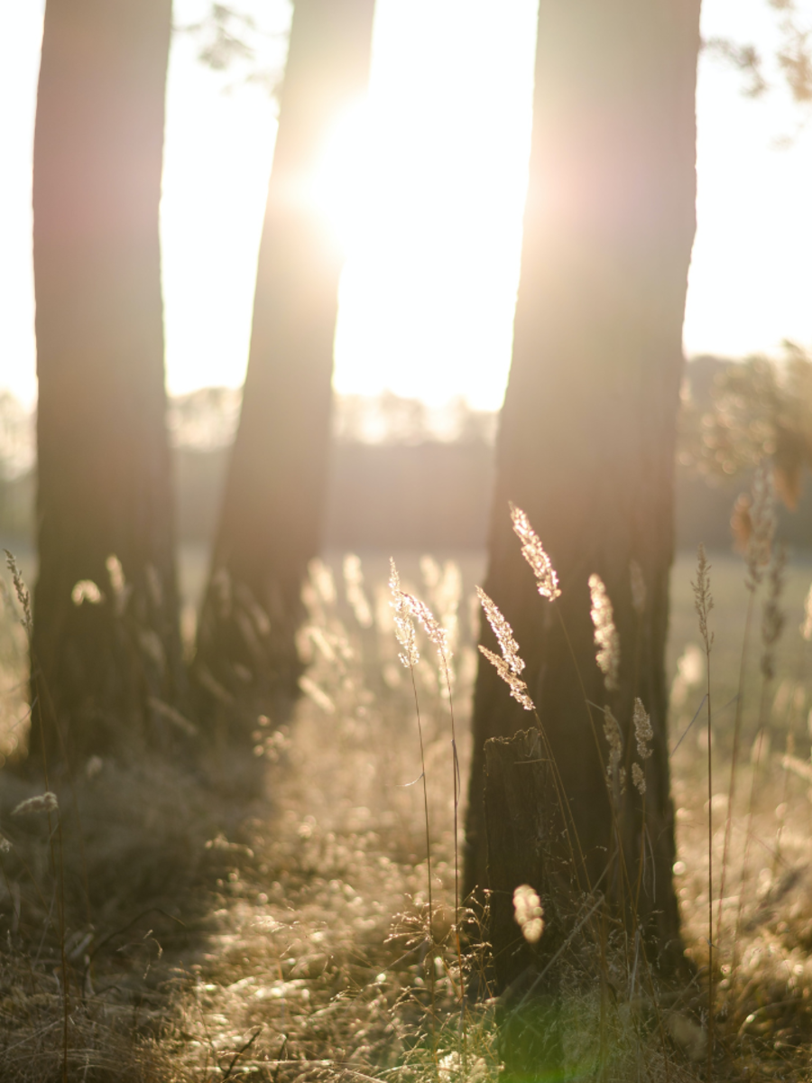 Thursday images | Happy Thursday good morning images and quotes to ...