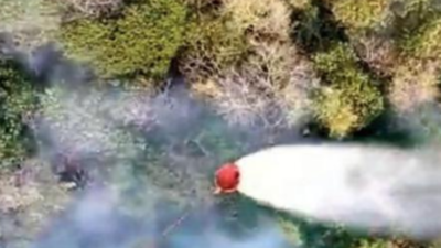 Goa’s forests, hills ablaze; Navy, Air Force called in to douse fires ...