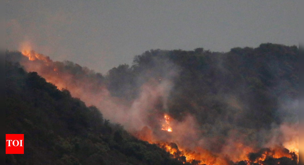 Nearly 200 fires across state in just 36 hours | Goa News - Times of India