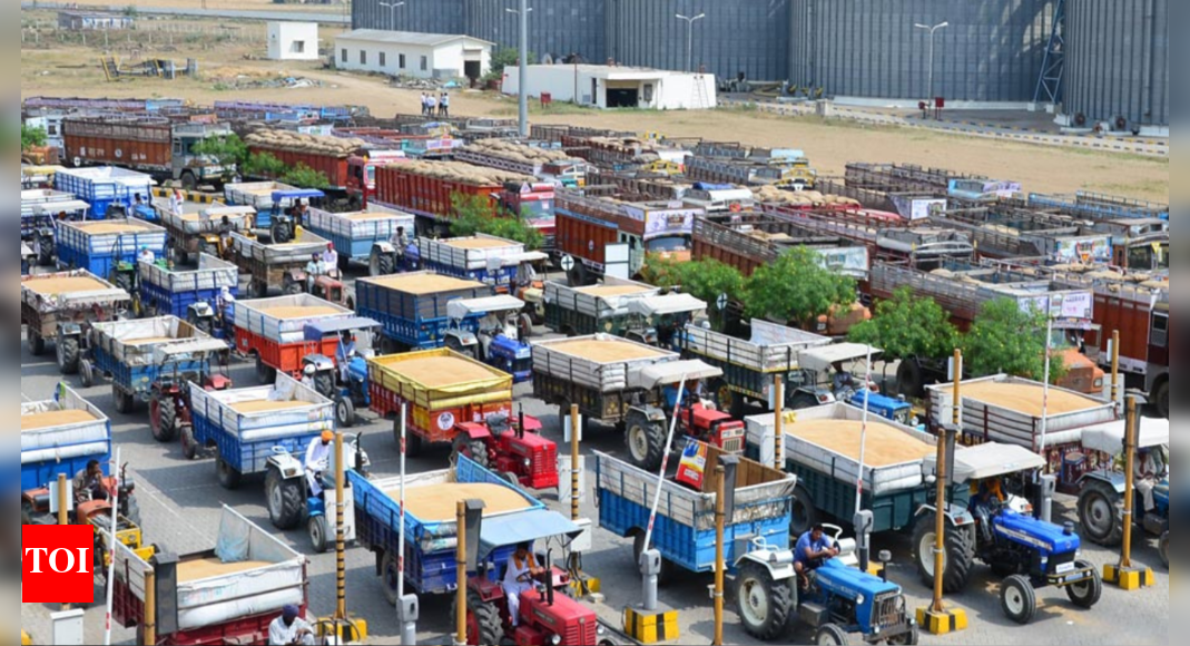 Govt wants to 'hand over' India's food grain logistics to Adani Group ...
