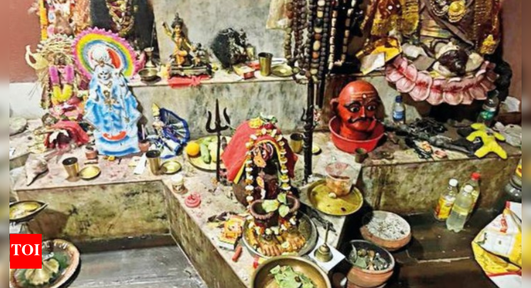 Animal skins, bones found at 'tantrik' home in West Bengal | Kolkata ...