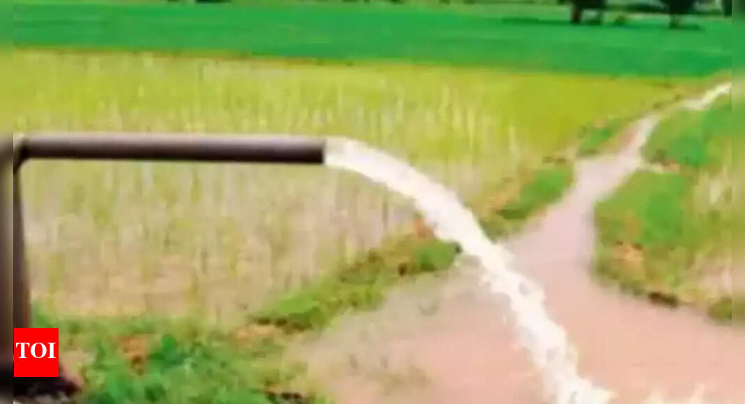 Farmers anxious over irrigation water shortage | Kozhikode News - Times ...