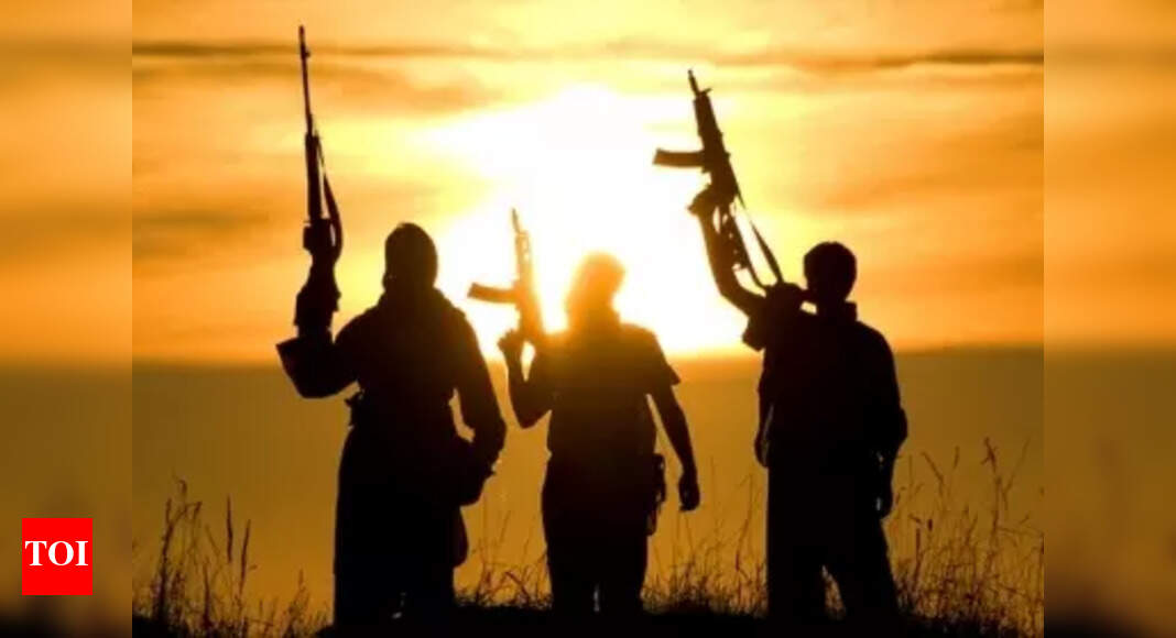 Tendency of categorisation of terrorism based on motivations behind ...