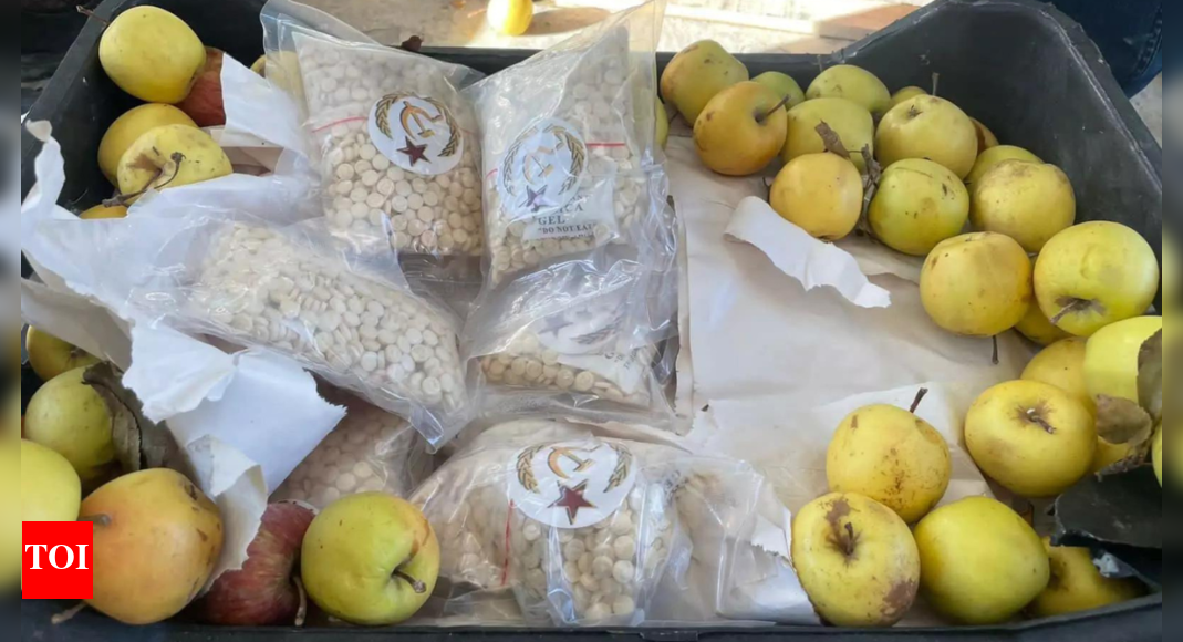 Iraq seizes three million captagon pills on Syria border - Times of India