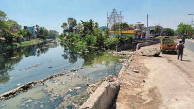 Open defecation sullies Otteri Nullah pavements | Chennai News - Times ...