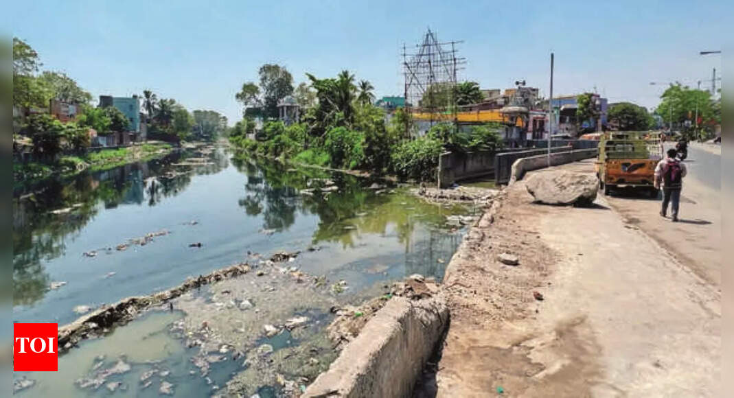 Open defecation sullies Otteri Nullah pavements | Chennai News - Times of India