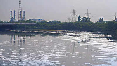 More waste getting into Yamuna: Delhi Pollution Control Committe ...