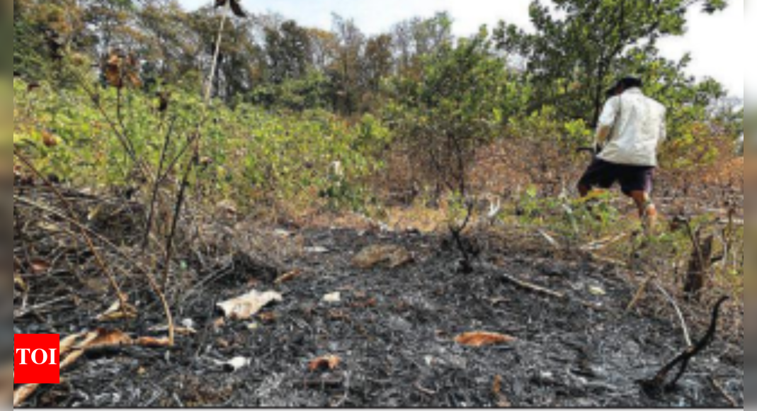 'We didn't start the fire': Satre locals attribute flames to rising ...