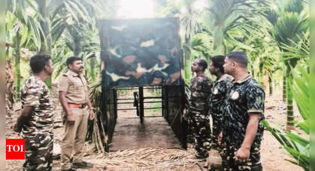 Forest officers to now capture leopard preying on livestock | Erode ...