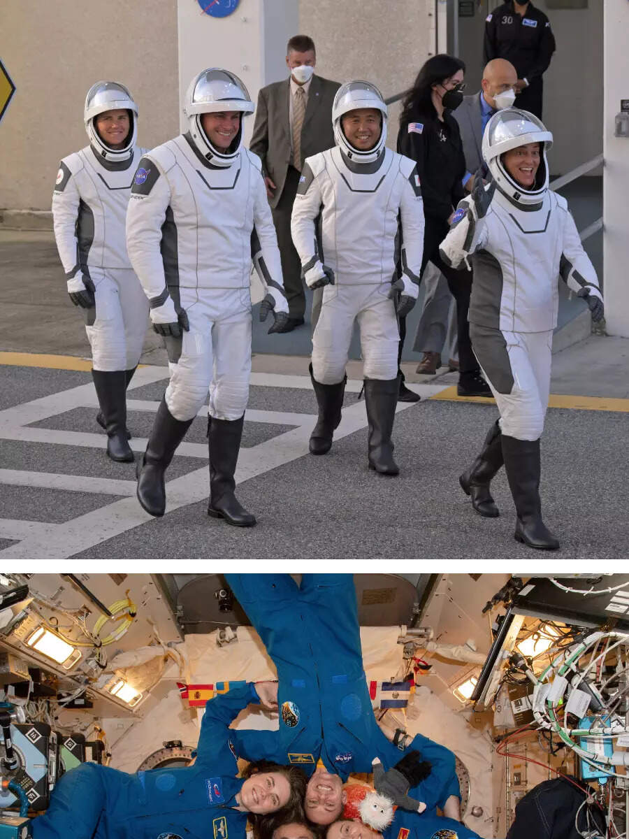 Four astronauts fly SpaceX back home, end 5-month mission | Times of India