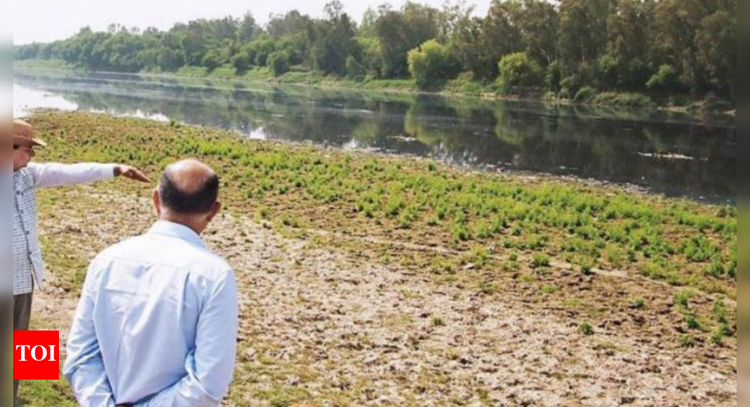 Act now to clean & rejuvenate 11 km of Yamuna floodplain: Delhi LG VK ...