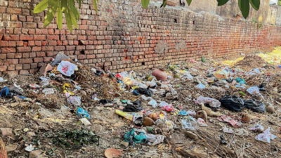 Garbage not picked up in 3 months, Gurgaon locals say workers don’t ...