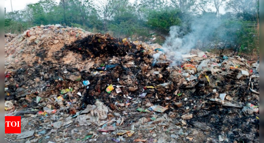 Garbage set on fire along roads, Ghaziabad residents raise a health ...