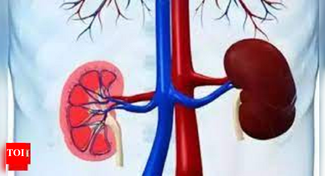 Pediatric Nephrology: Aiims Workshop Discusses Kidney Ailments Among ...