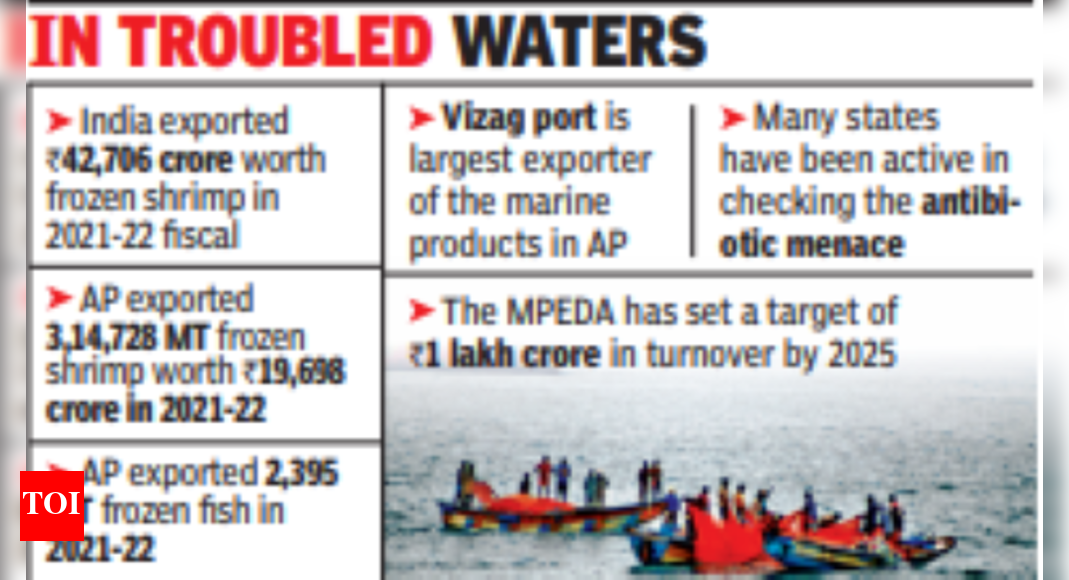 Fishing activities on AP coast decline, fishermen blame high diesel ...