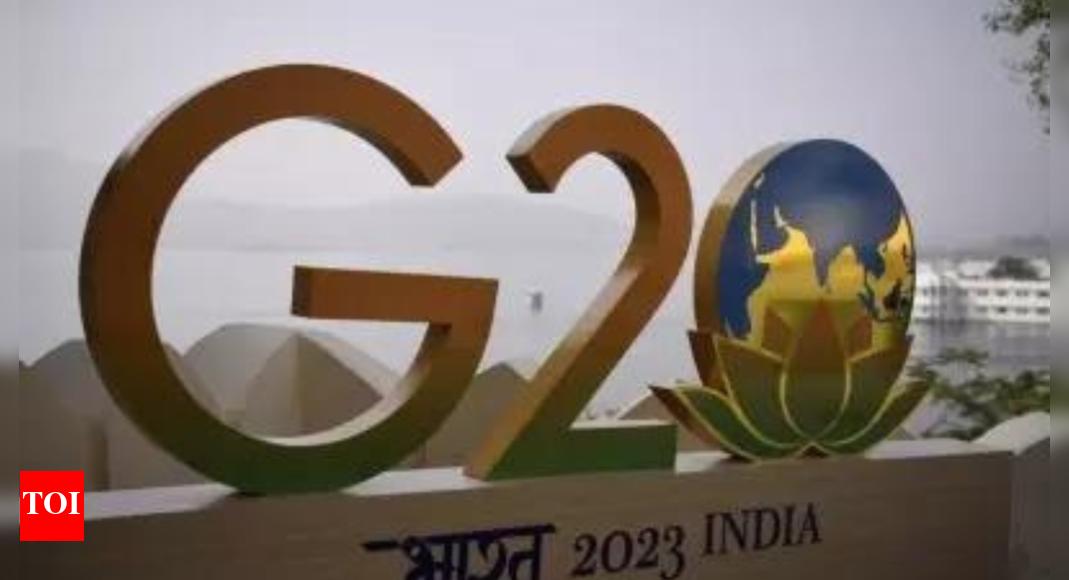 Y20, Yuvamanthan join hands to conduct 10,000 model G20 summits across ...