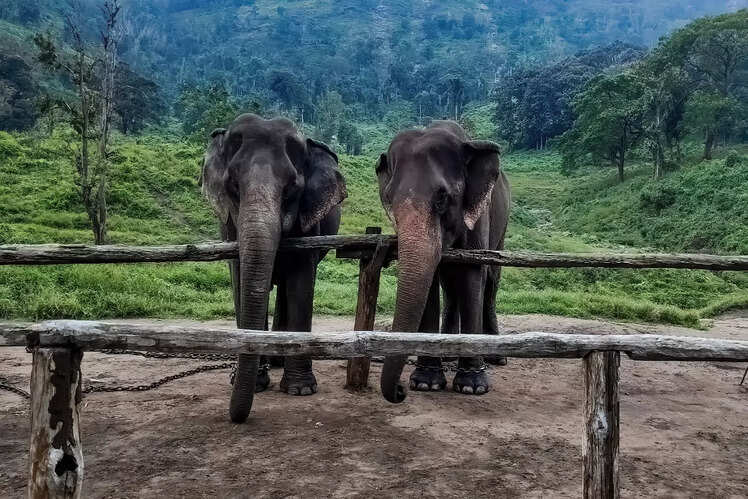 Visit these offbeat places in the Western Ghats before monsoon | Times ...