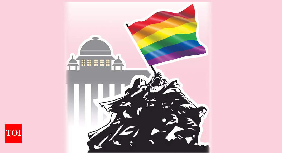 Why Sc Is Right Centre Wrong On Same Sex Marriage India News Times 5229