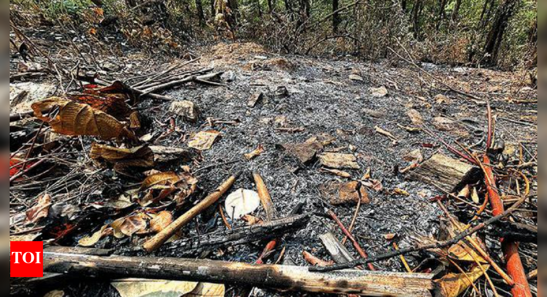 With active fires doused, Centre tells Goa to assess affected areas ...