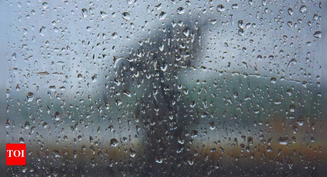 Parts of Goa see mild showers | Goa News - Times of India