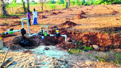 Sour to sweet: An agri revolution turns fallow land into lemon farms in ...