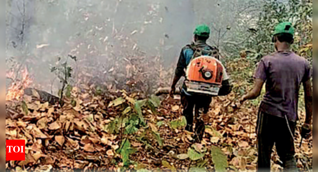 Odisha's burning forests singe House | Bhubaneswar News - Times of India