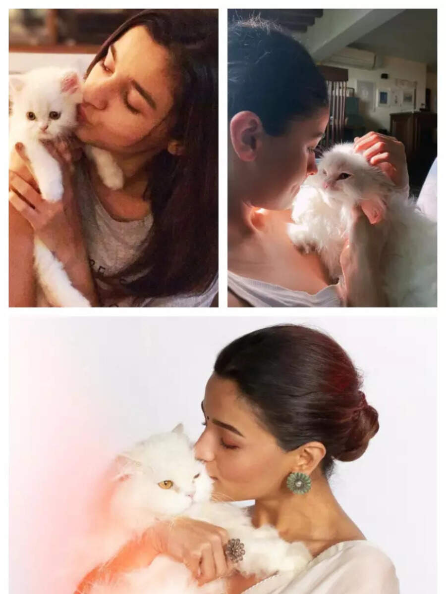 Alia Bhatt's adorable photos with her cat Edward | Times of India