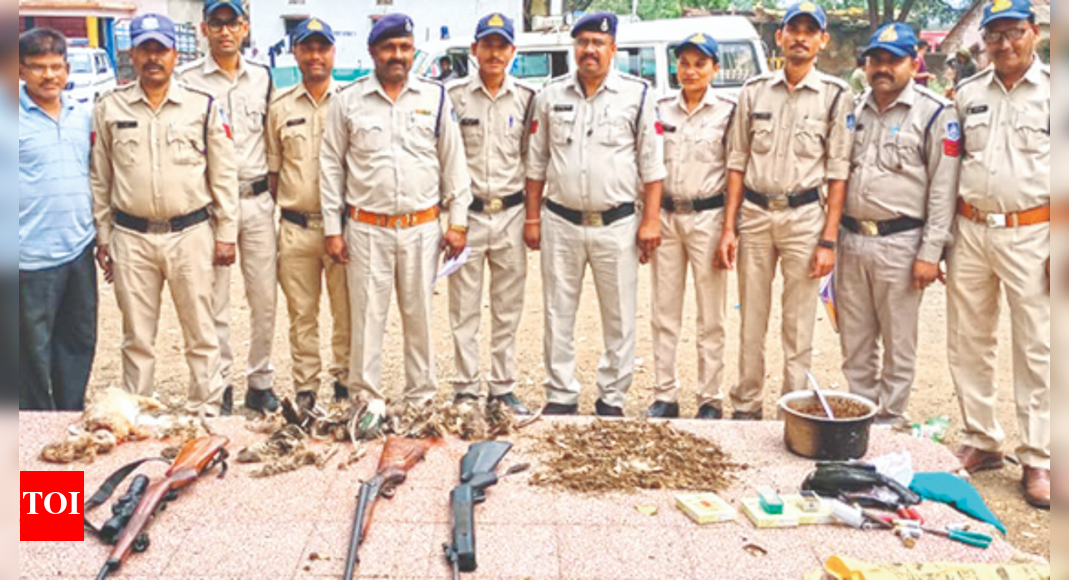 7 Arrested For Poaching Peacocks And Rabbits | Indore News - Times of India