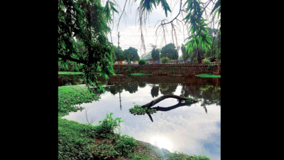Barabati Fort: High court lens on restoration of moat surrounding ...