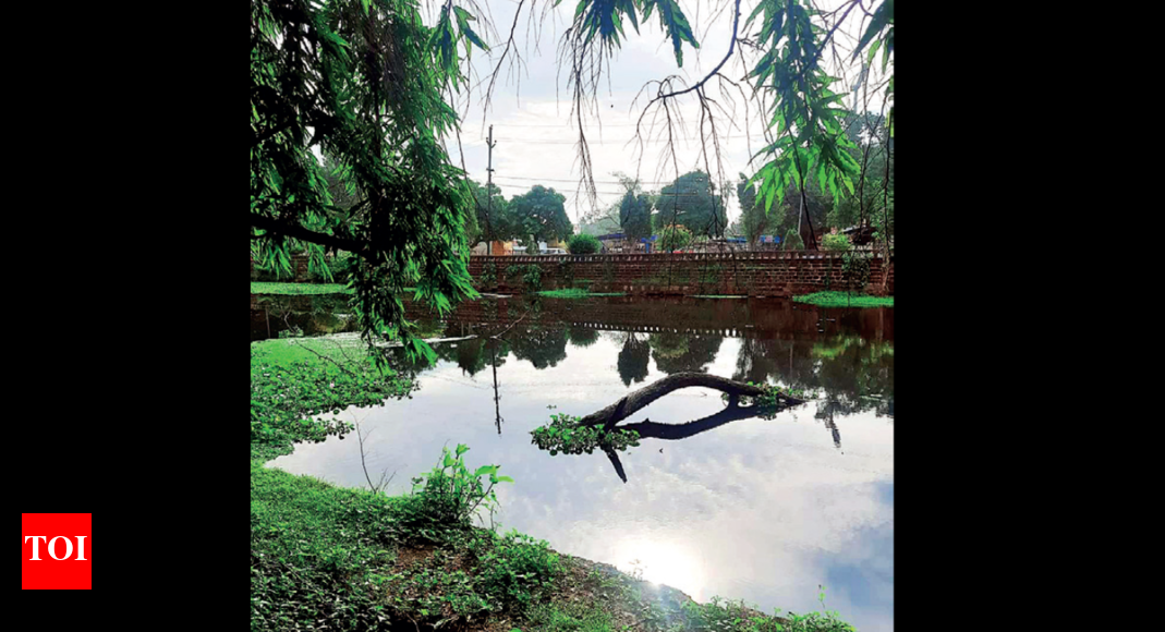 Barabati Fort: High court lens on restoration of moat surrounding ...