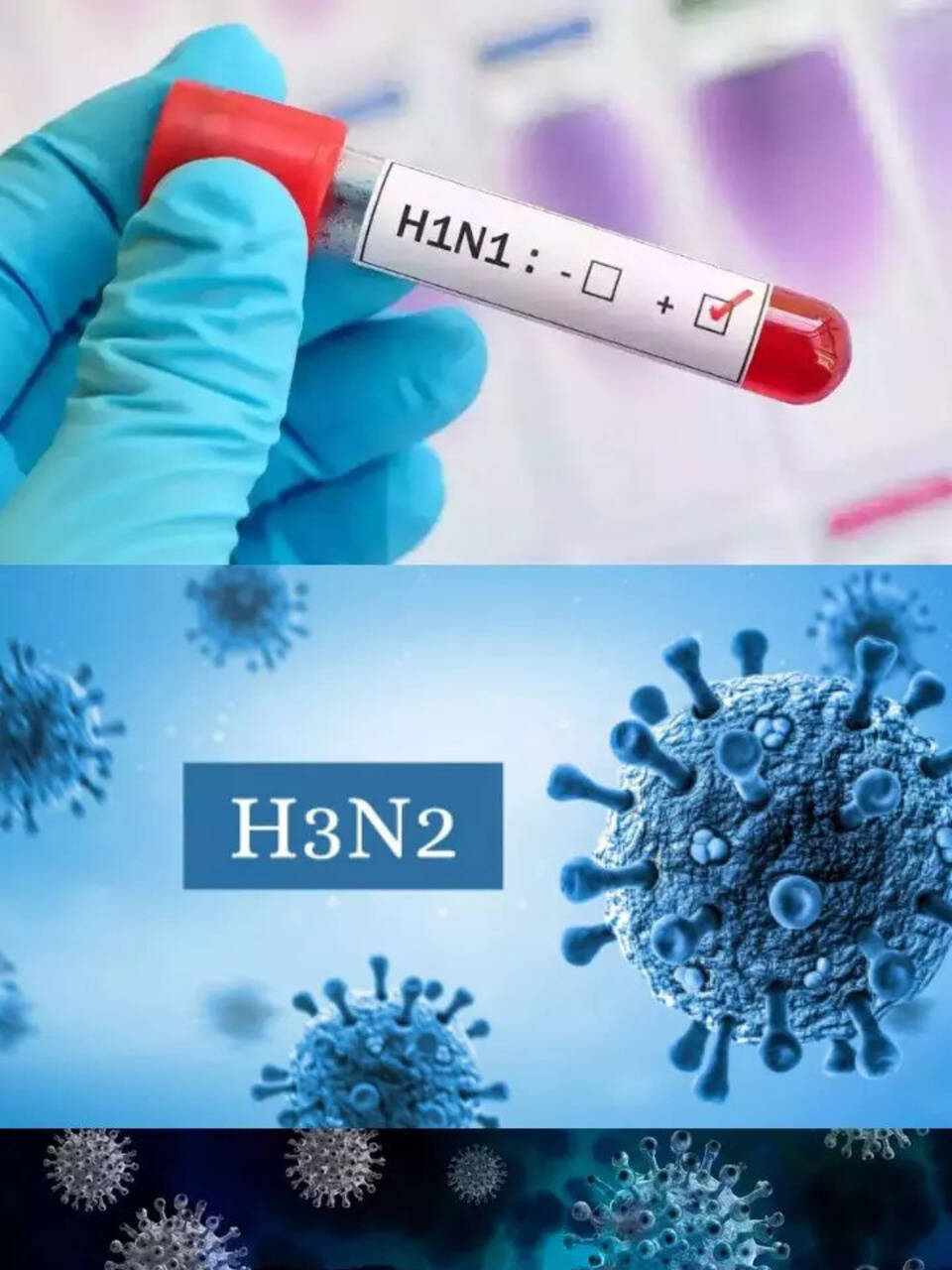 All About H3N2 Virus: Symptoms, Transmission, Prevention,, 43% OFF
