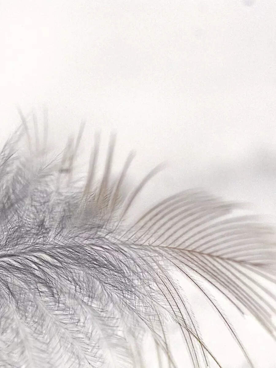 13, 7 or 4? These are the MOST superstitious numbers from around the ...