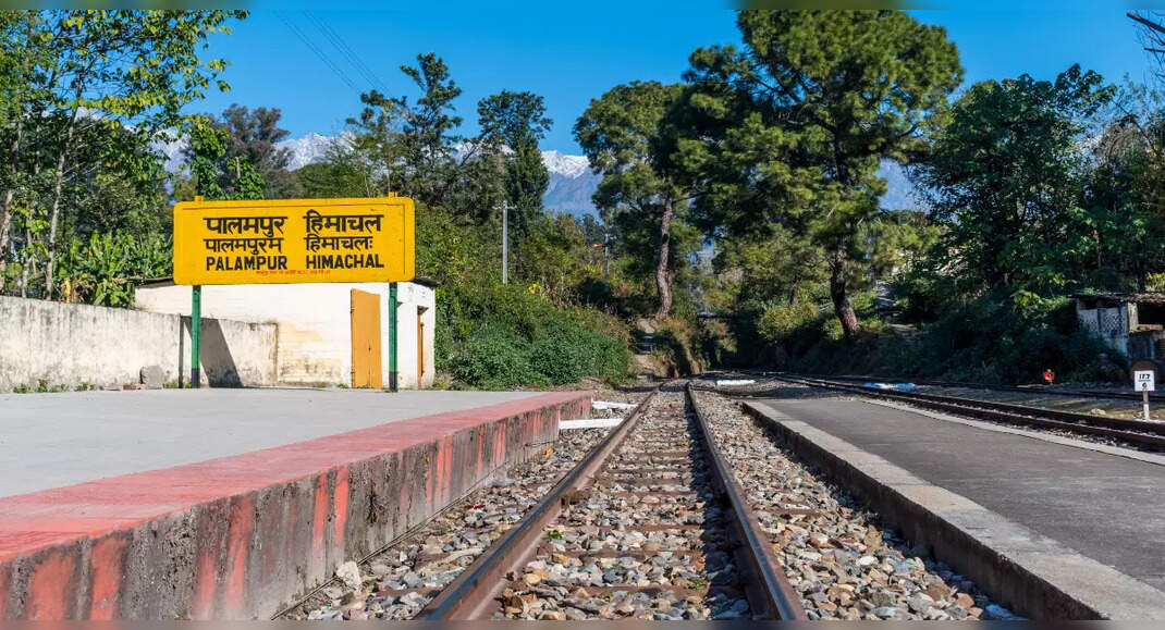 It’s all about scenic beauty and heritage in Palampur, Himachal Pradesh ...
