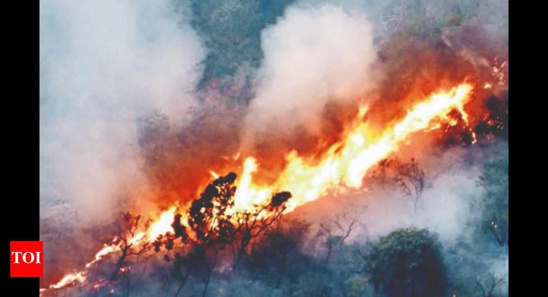 Fire Near Kodaikanal Valley Brought Under Control | Madurai News ...