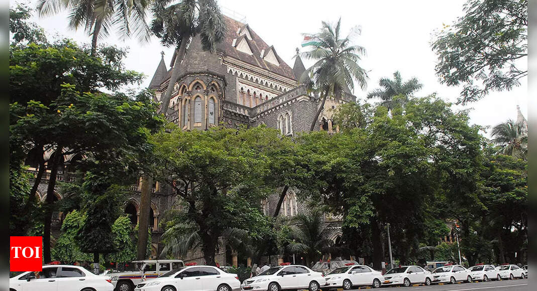 Bombay HC to hear plea against govt employees' strike | Mumbai News - Times of India