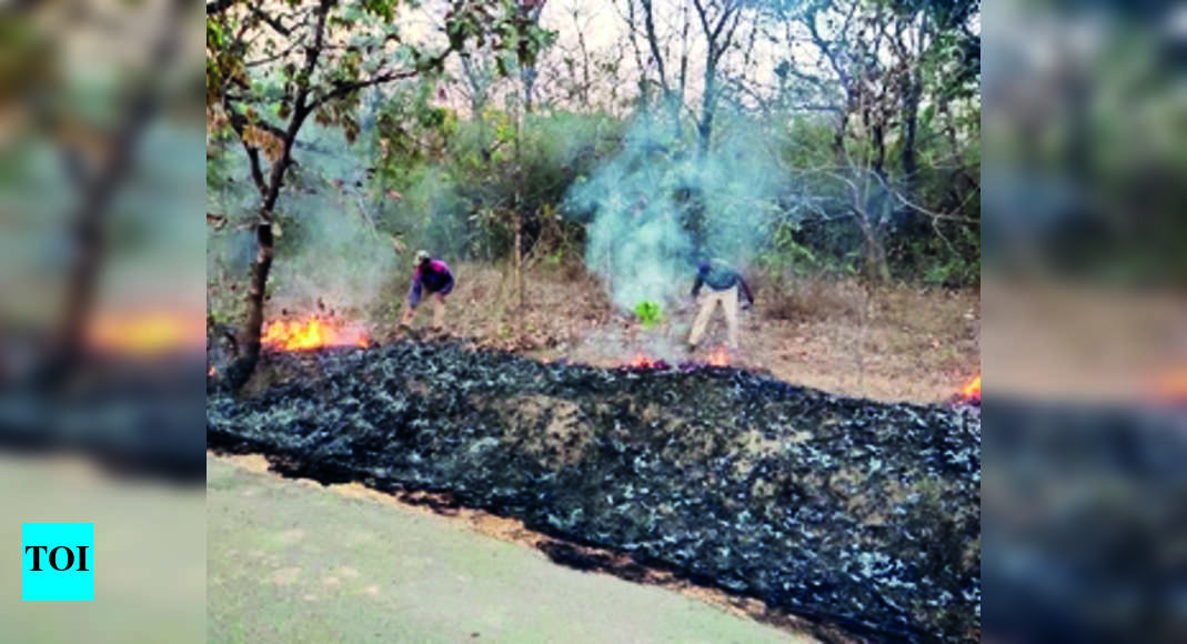 Forest Fire On Goa Border Brought Under Control | Hubballi News - Times ...