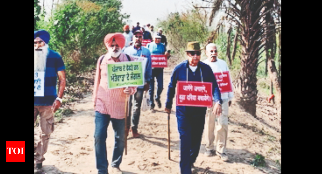 Buddha Nullah: Photo Expo To Save Buddha Nullah | Ludhiana News - Times ...